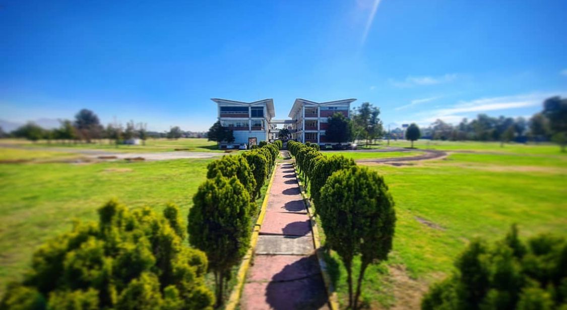 29 años formando jóvenes con espíritu de servir. - Universidad Marista